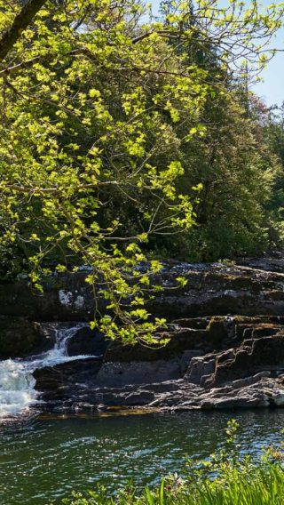 Hotels Kenmare Ireland | Luxury Kerry Vacation | Sheen Falls Lodge