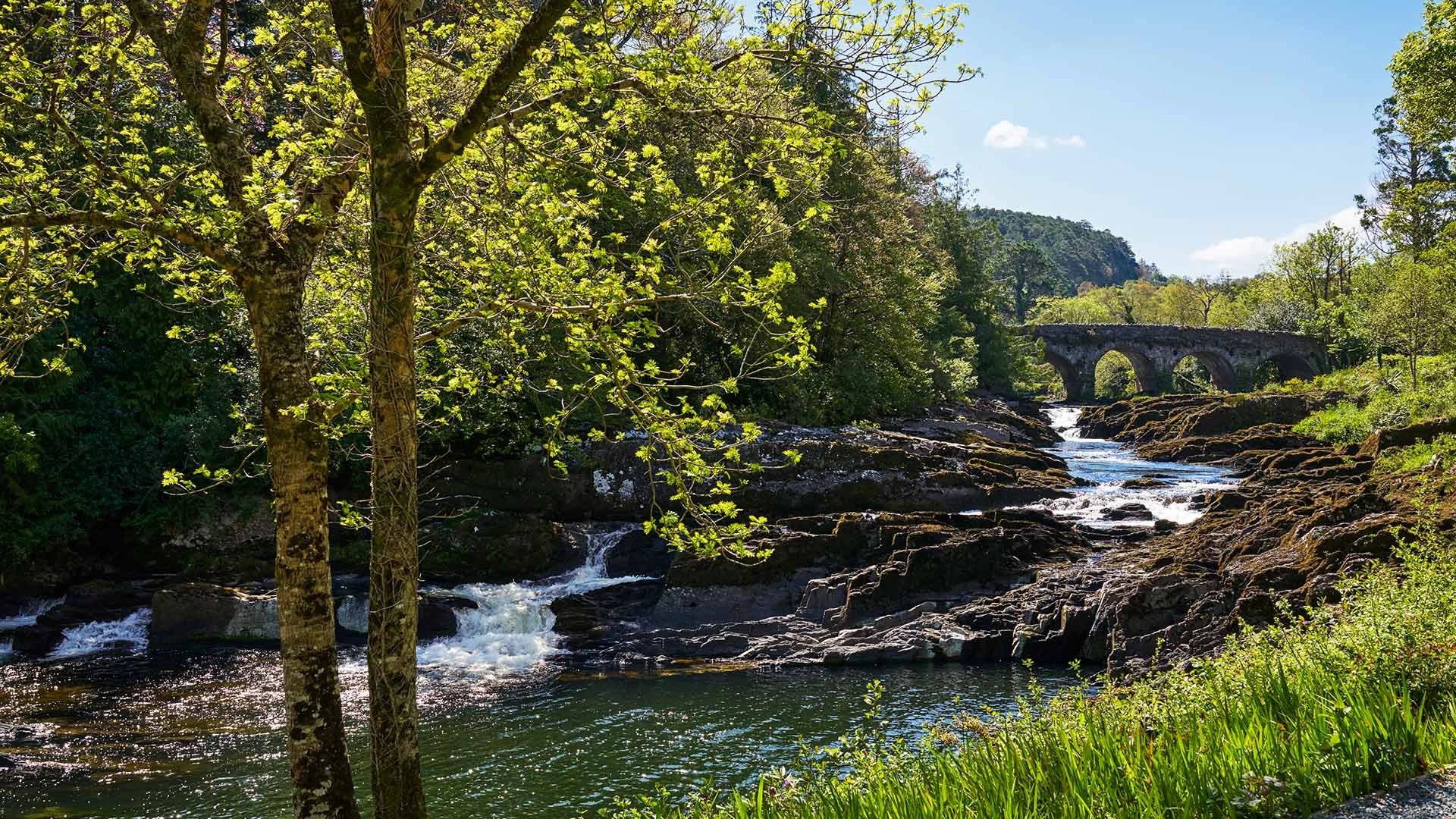 Hotels Kenmare Ireland | Luxury Kerry Vacation | Sheen Falls Lodge