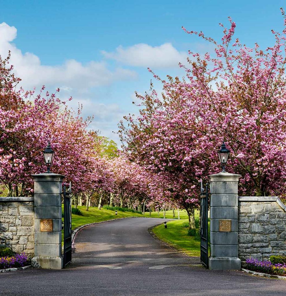 Spring in Kenmare | Luxury Spring Hotel Breaks | Sheen Falls Lodge